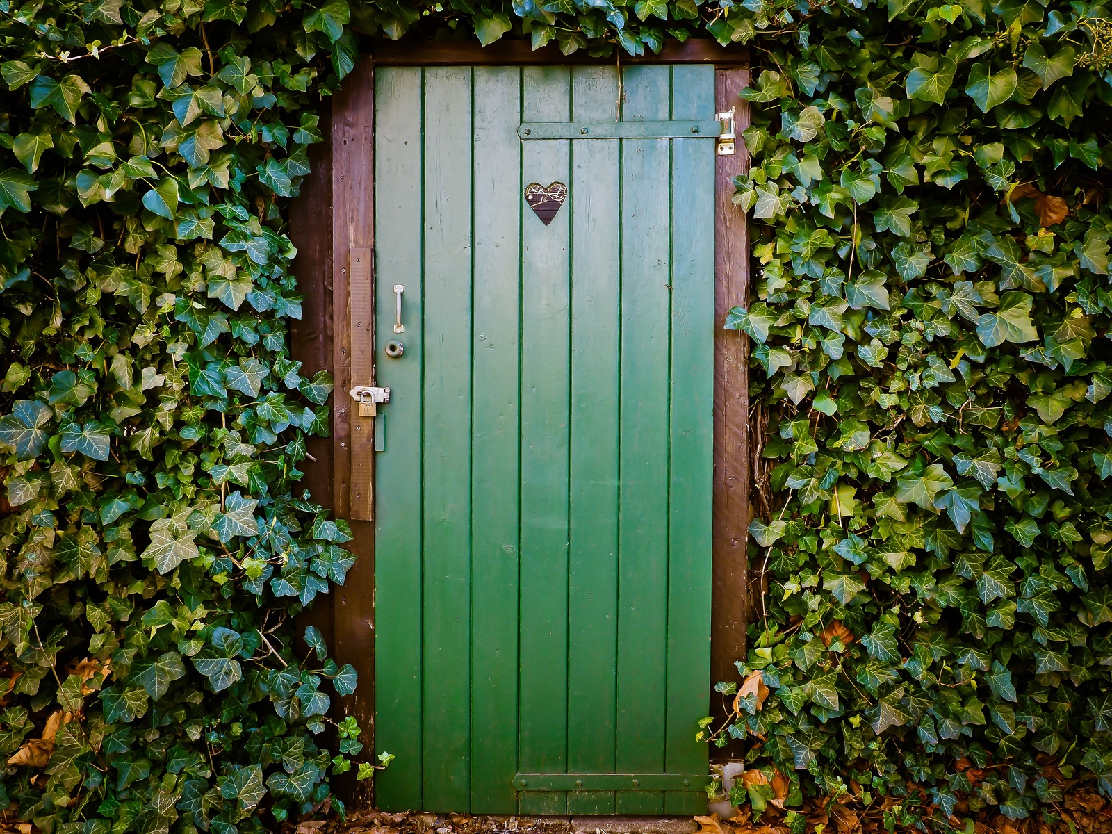 5 modelos de portas de madeira que você precisa conhecer - Reflexos ...